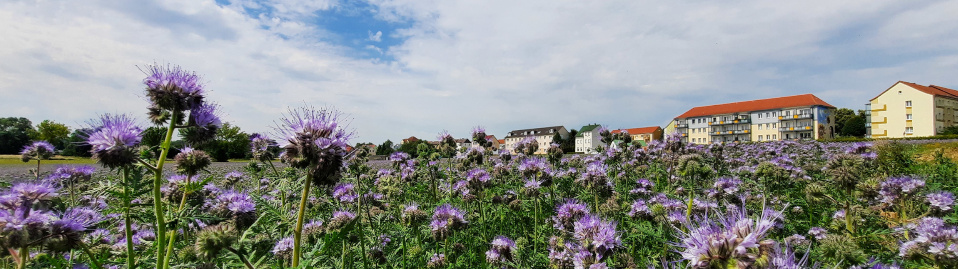 Herzlich willkommen im Altenburger Land! - Landratsamt Altenburger Land